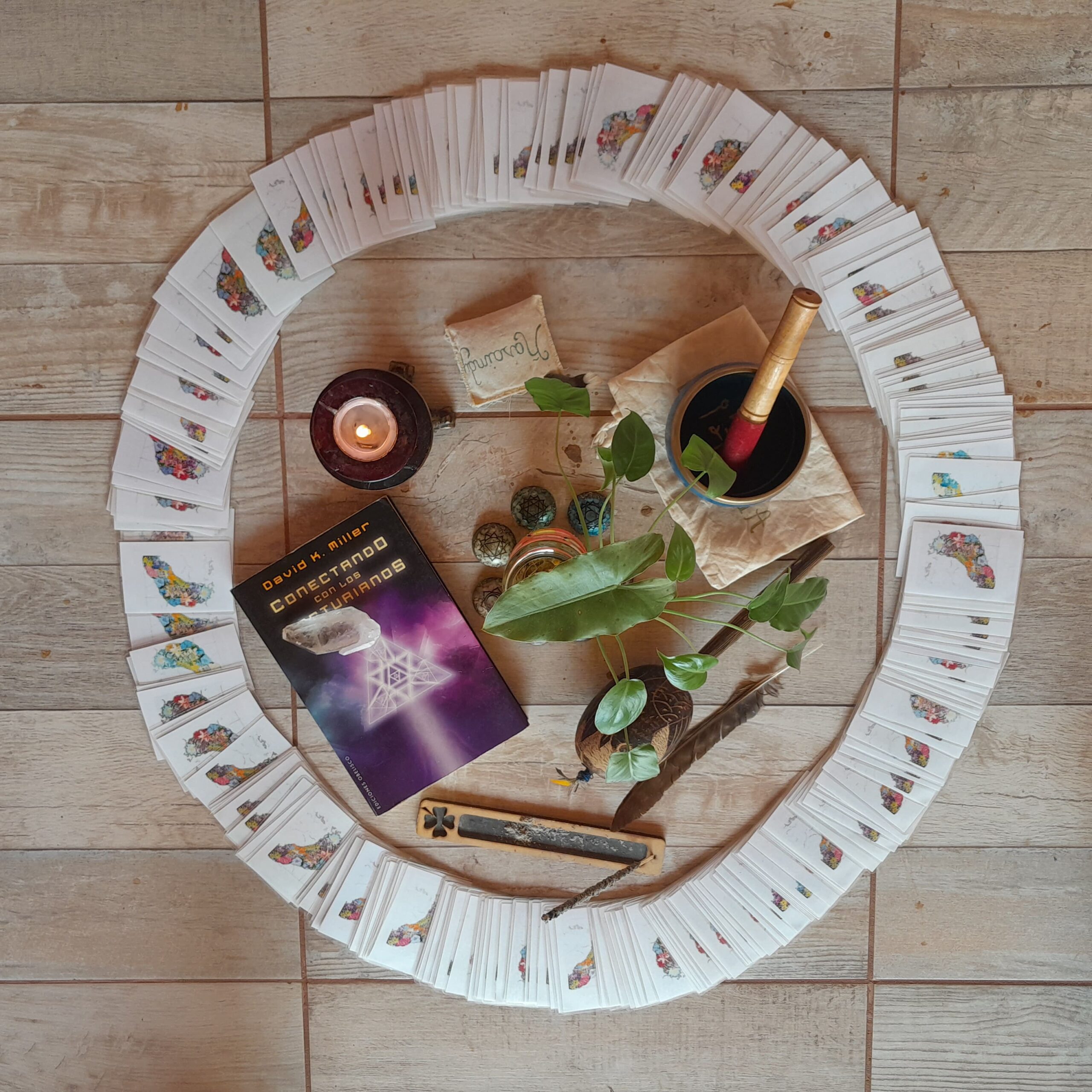 Conócenos - Espacio Consciencia